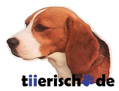 Beagle Aufkleber 96085 von TRIXIE günstig bestellen | tiierisch.de