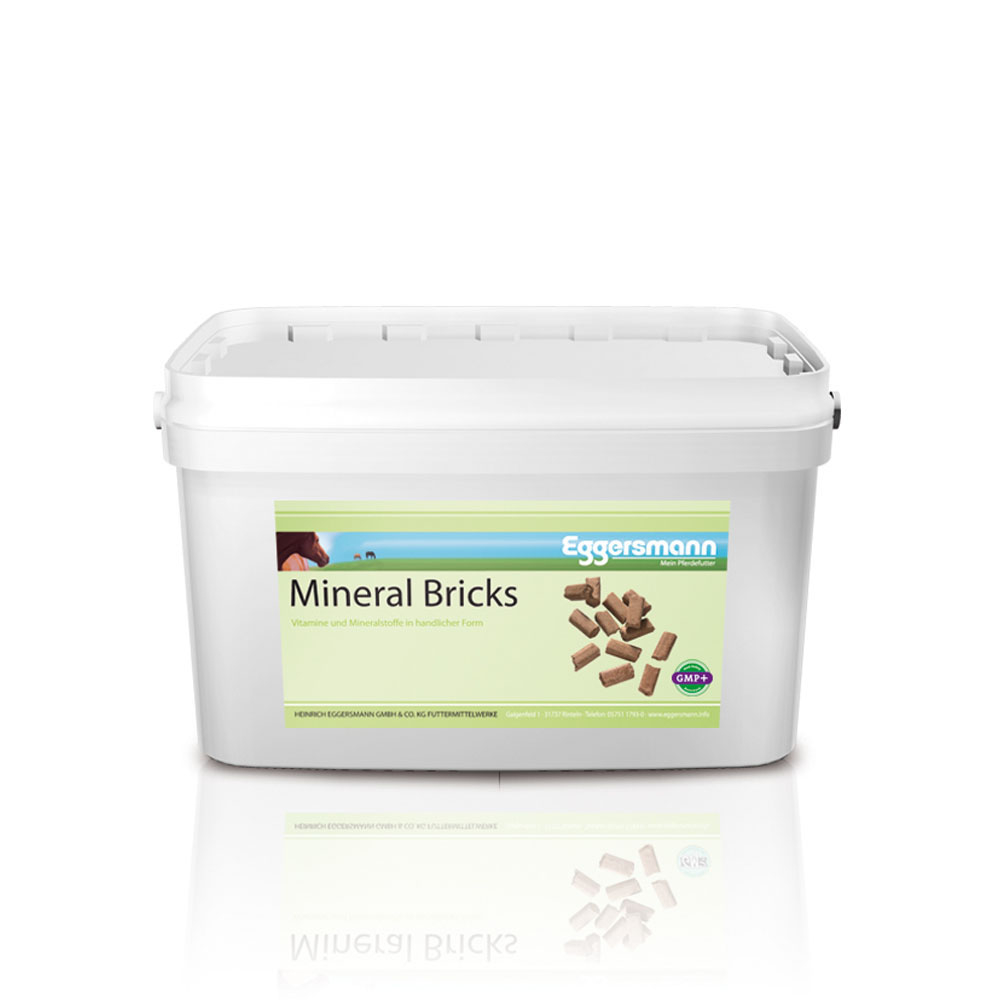 Eggersmann Mineral Bricks von Eggersmann günstig bestellen | tiierisch.de