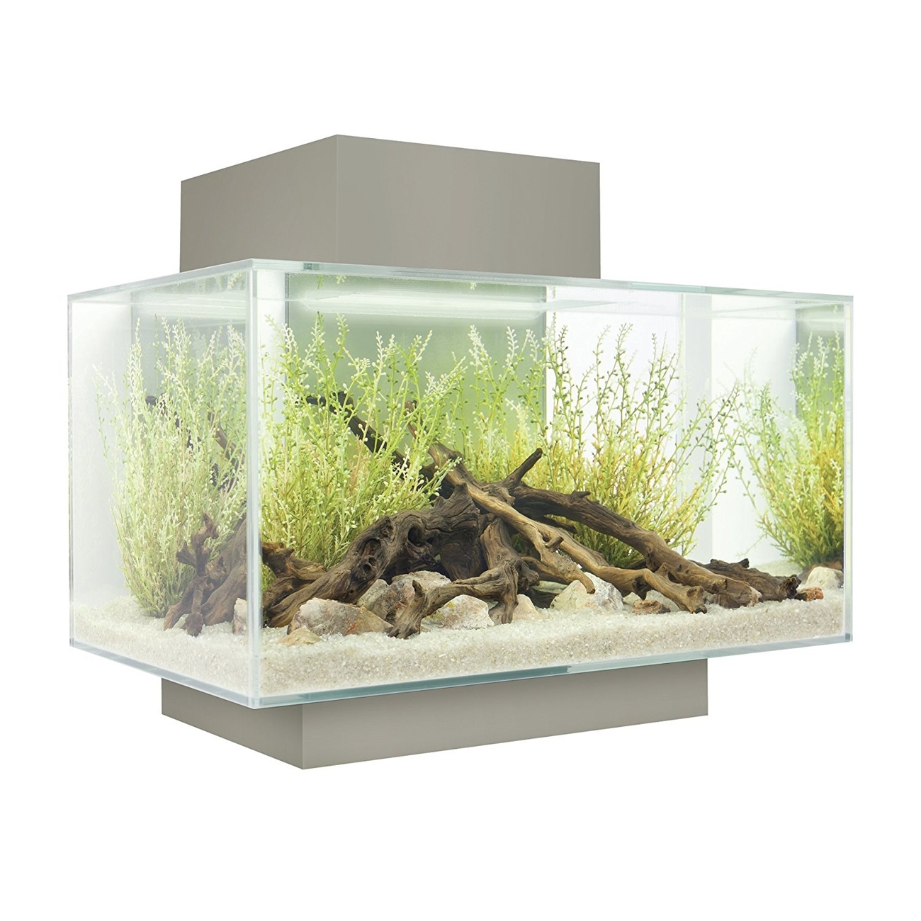 Fluval Edge I Aquarium von Fluval günstig bestellen | tiierisch.de