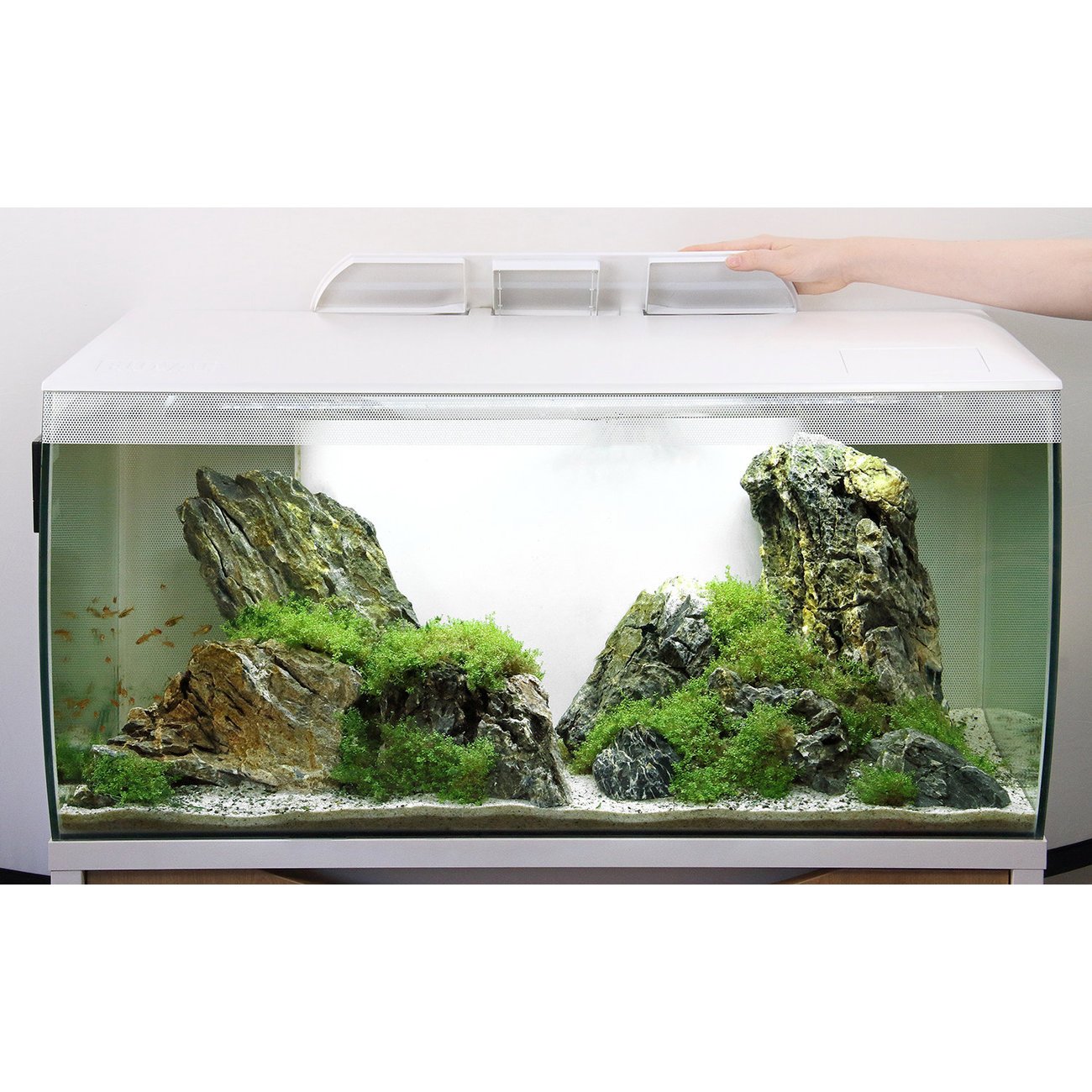 Fluval Flex 123 Liter Aquarium von Fluval günstig bestellen | tiierisch.de