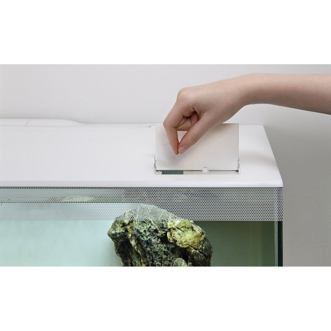 Fluval Flex 123 Liter Aquarium von Fluval günstig bestellen | tiierisch.de