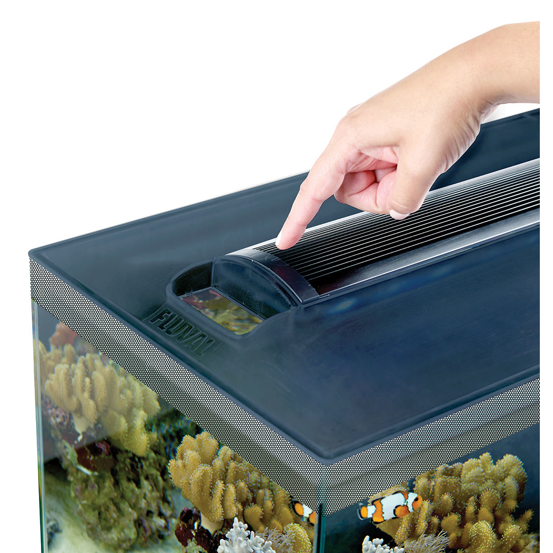 Fluval SPEC XV Aquarium 60 L von Fluval günstig bestellen | tiierisch.de