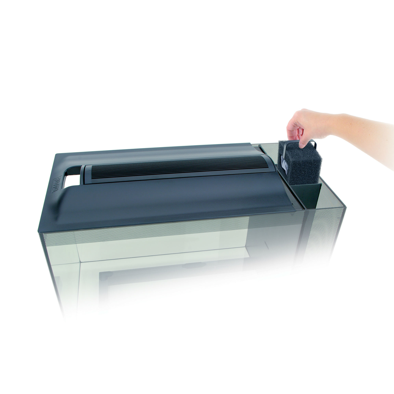 Fluval SPEC XV Aquarium 60 L von Fluval günstig bestellen | tiierisch.de