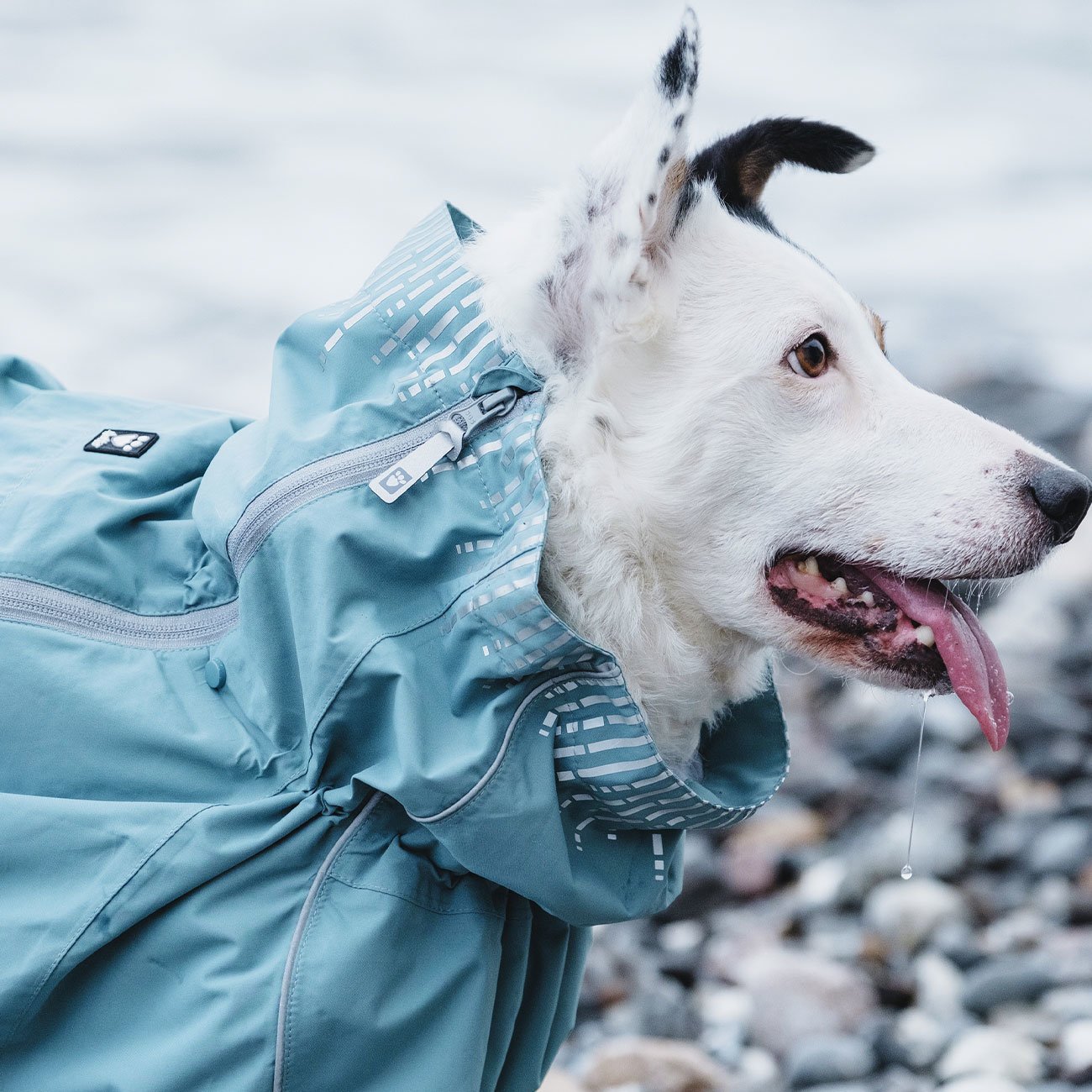 Hurtta Rain Blocker Regenmantel für Hunde von HURTTA günstig bestellen ...