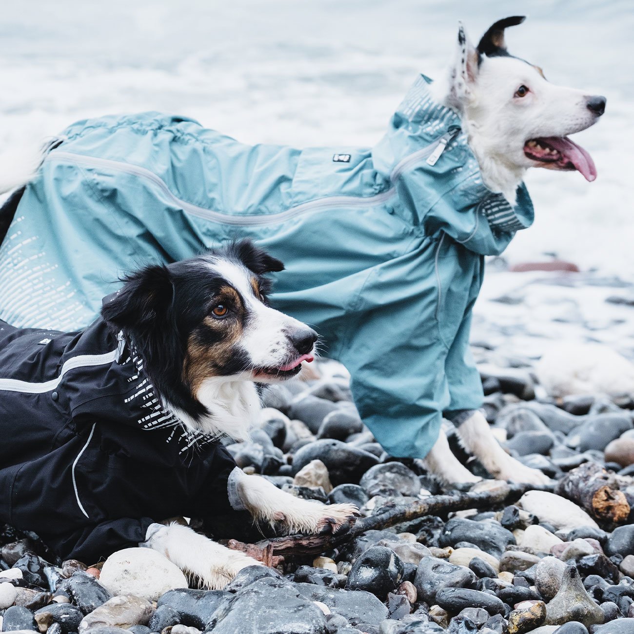 Hurtta Rain Blocker Regenmantel für Hunde von HURTTA günstig bestellen ...