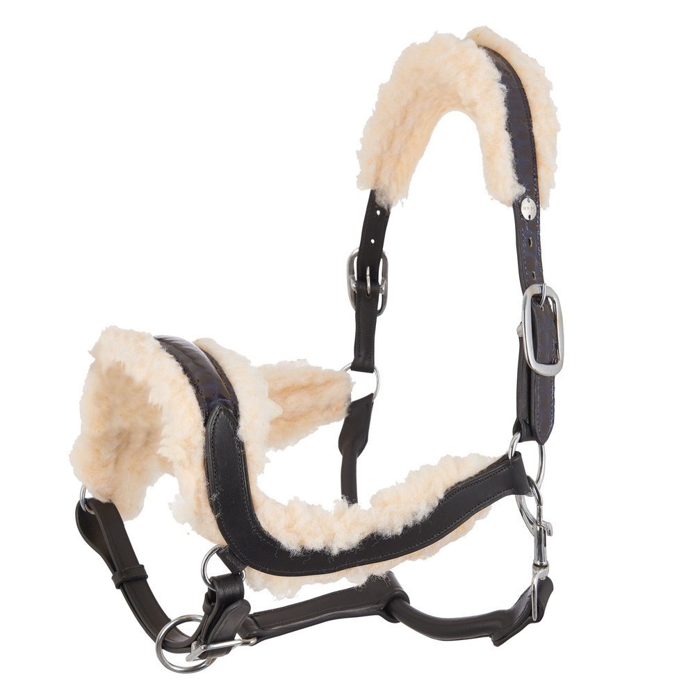 Randy Pferdehalfter Fellpolsterung von HV Polo günstig bestellen ...