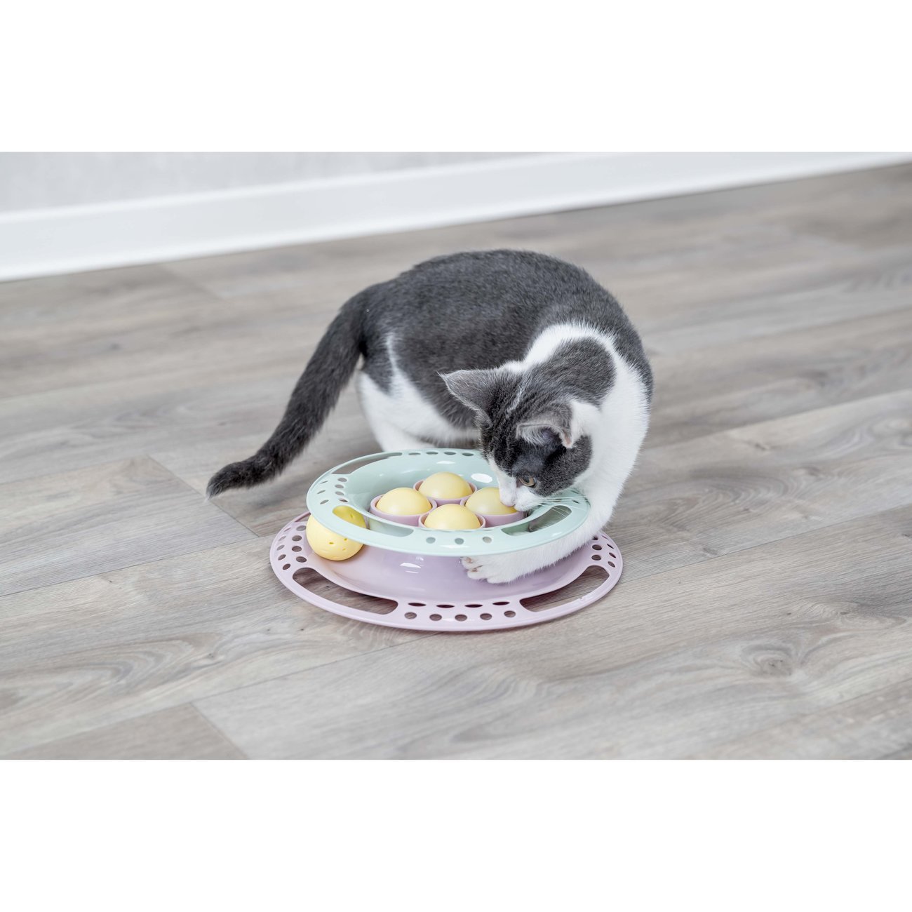 Junior Kitten Circle Katzenspielzeug 41340 von TRIXIE günstig bestellen | tiierisch.de