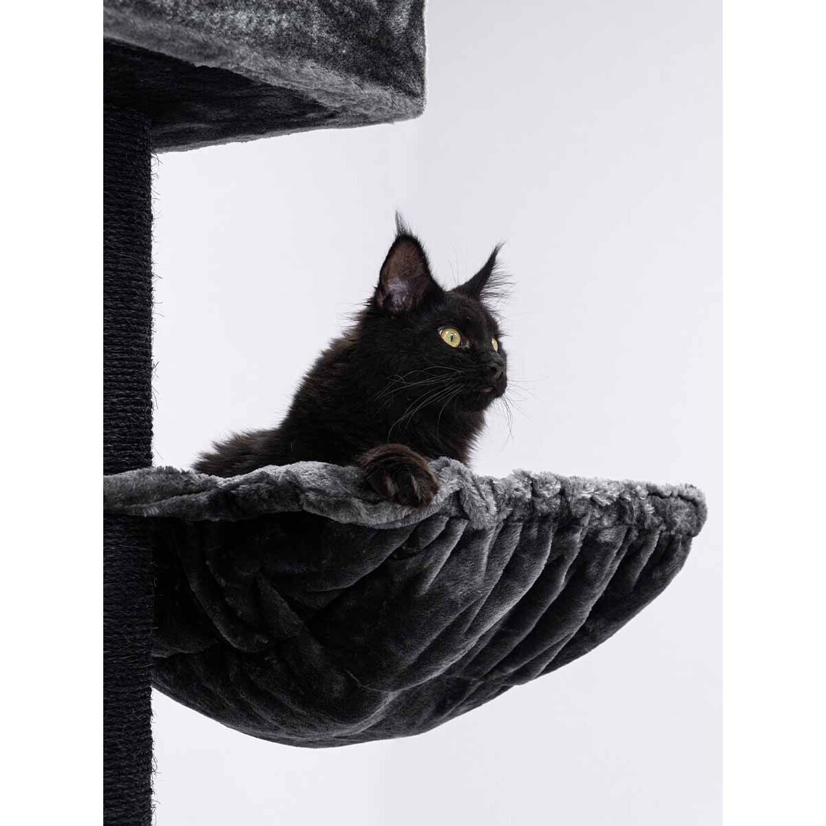 Lookout robuster Kratzbaum in moderner Optik von Petrebels günstig ...