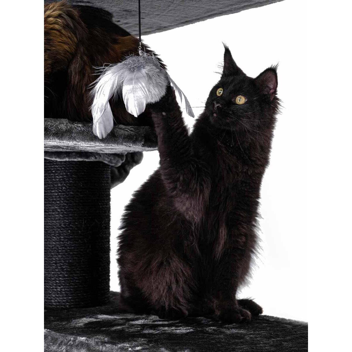 Lookout robuster Kratzbaum in moderner Optik von Petrebels günstig ...