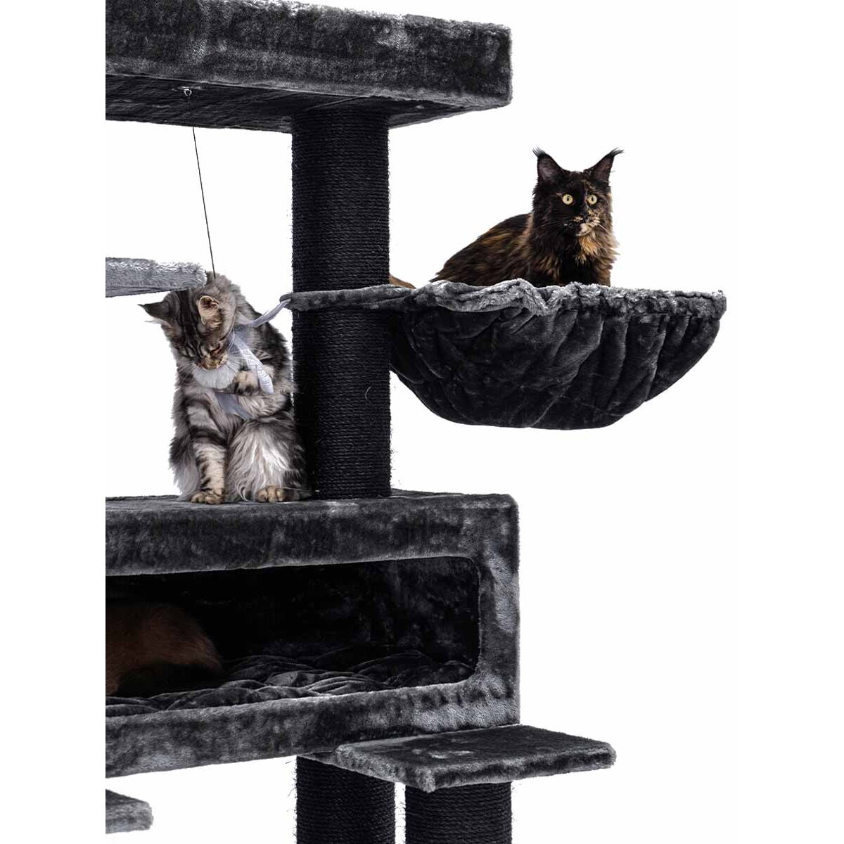 Lookout robuster Kratzbaum in moderner Optik von Petrebels günstig ...