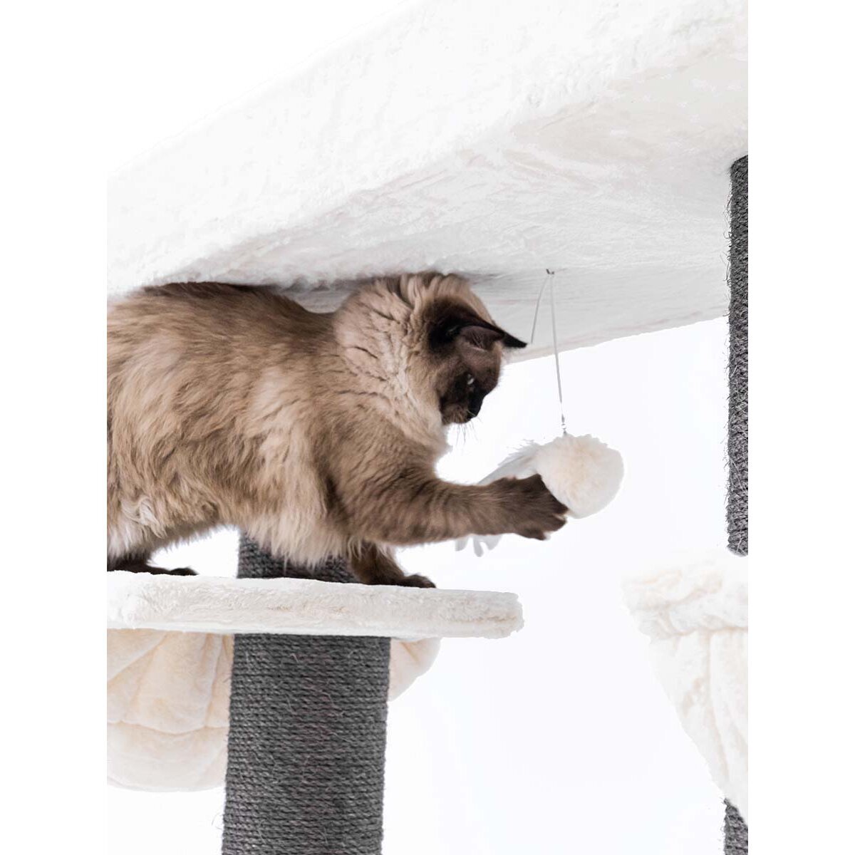 Lookout robuster Kratzbaum in moderner Optik von Petrebels günstig ...