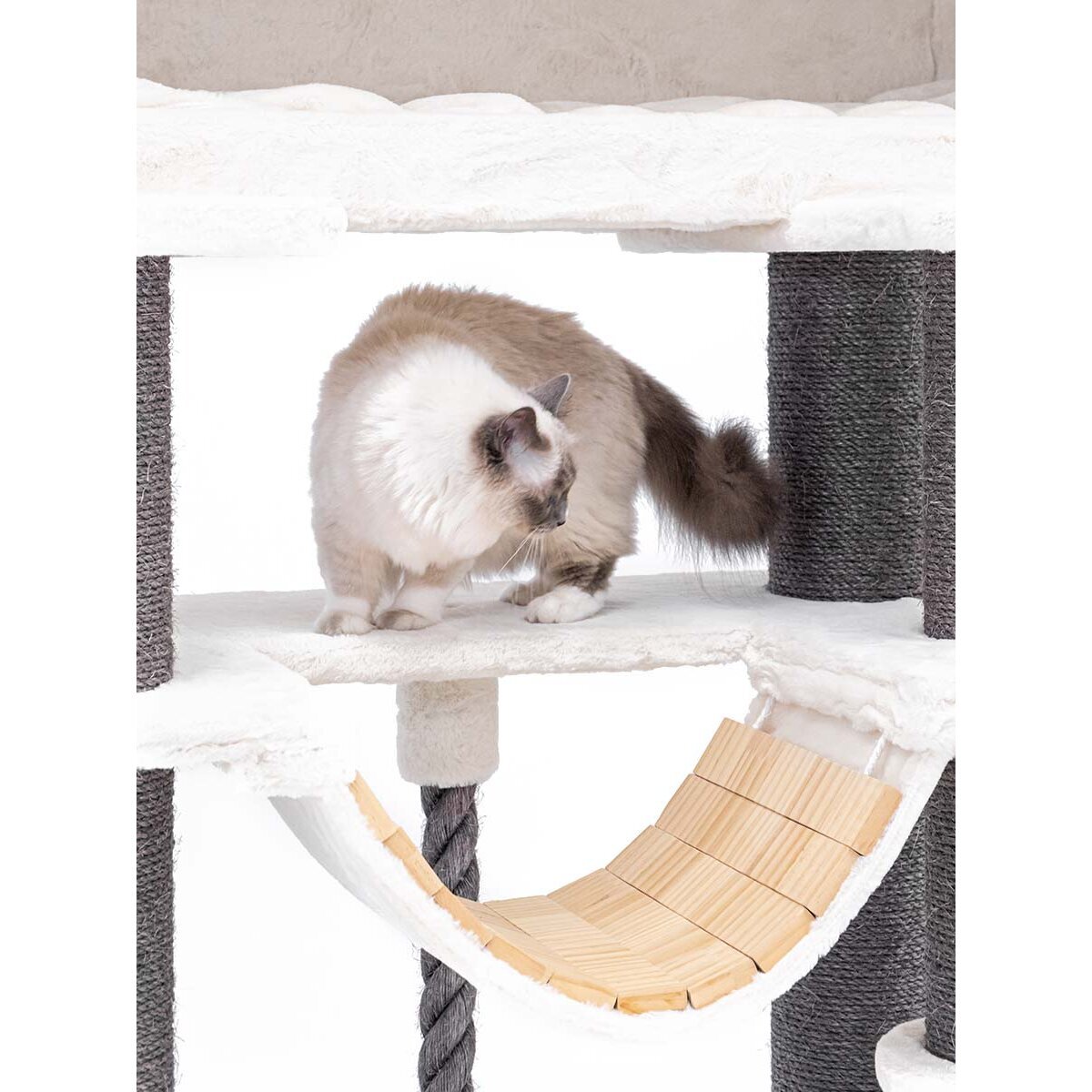 Lookout robuster Kratzbaum in moderner Optik von Petrebels günstig ...