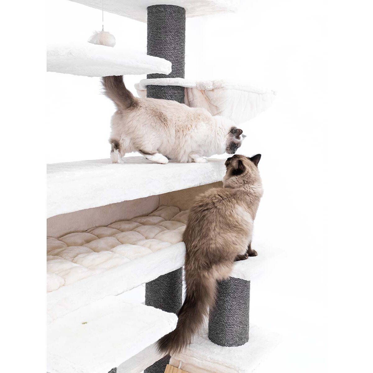 Lookout robuster Kratzbaum in moderner Optik von Petrebels günstig ...