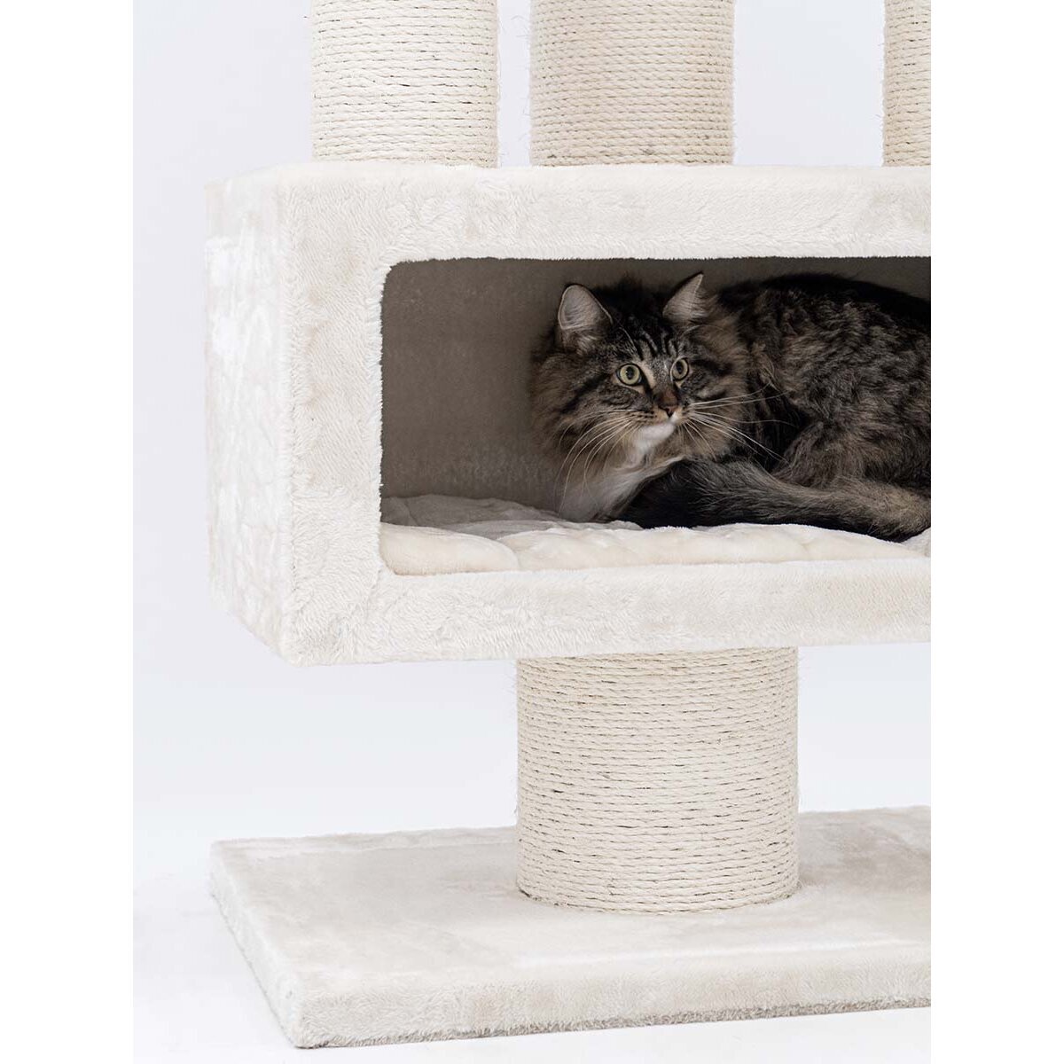 robuster Kratzbaum Parklane von Petrebels günstig bestellen | tiierisch.de