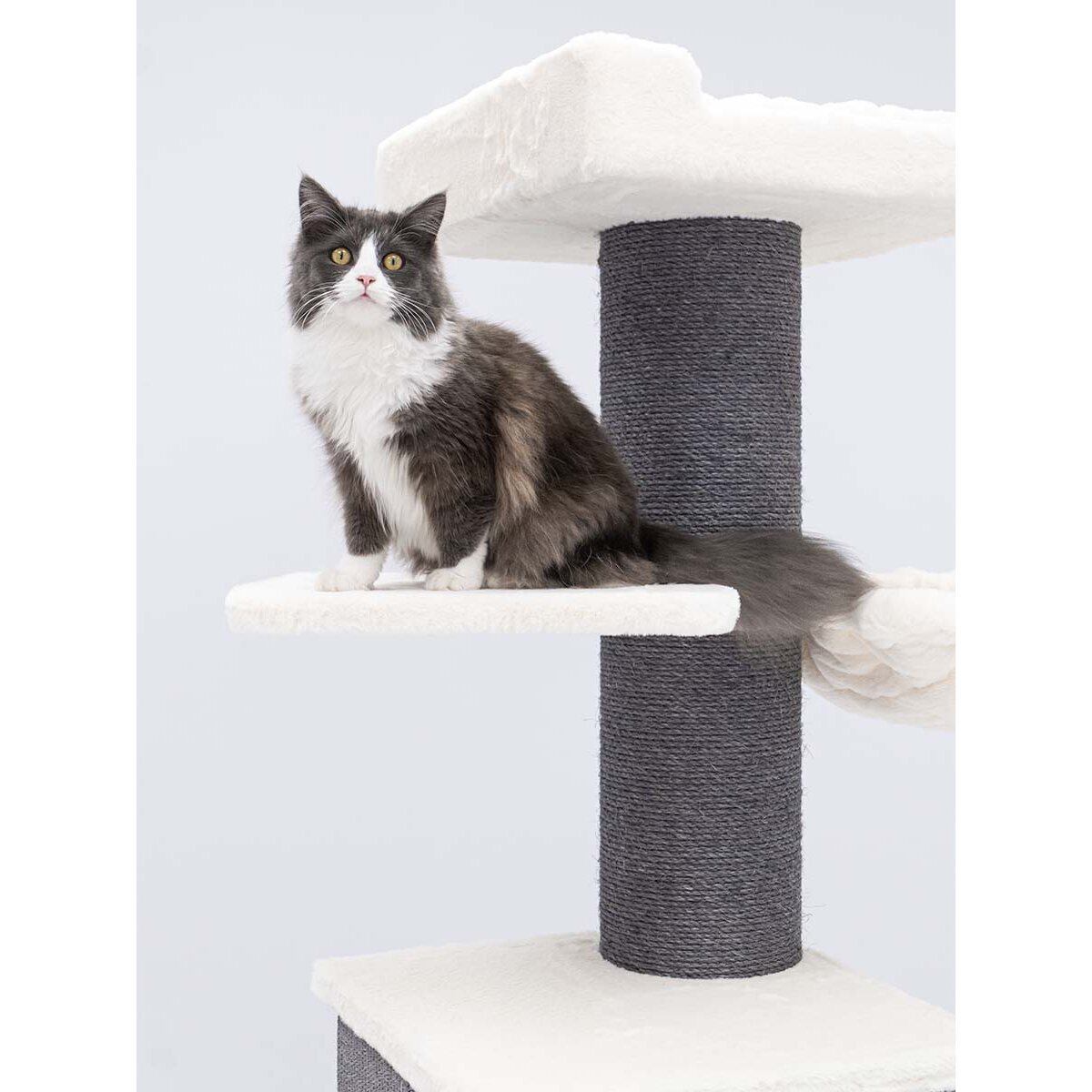 Robuster Kratzbaum Ragdoll von Petrebels günstig bestellen | tiierisch.de