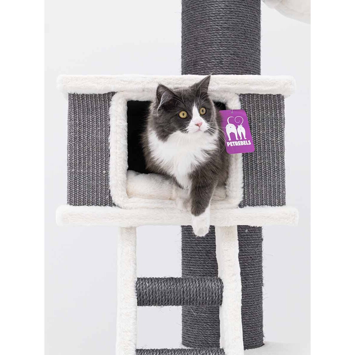 Robuster Kratzbaum Ragdoll von Petrebels günstig bestellen | tiierisch.de