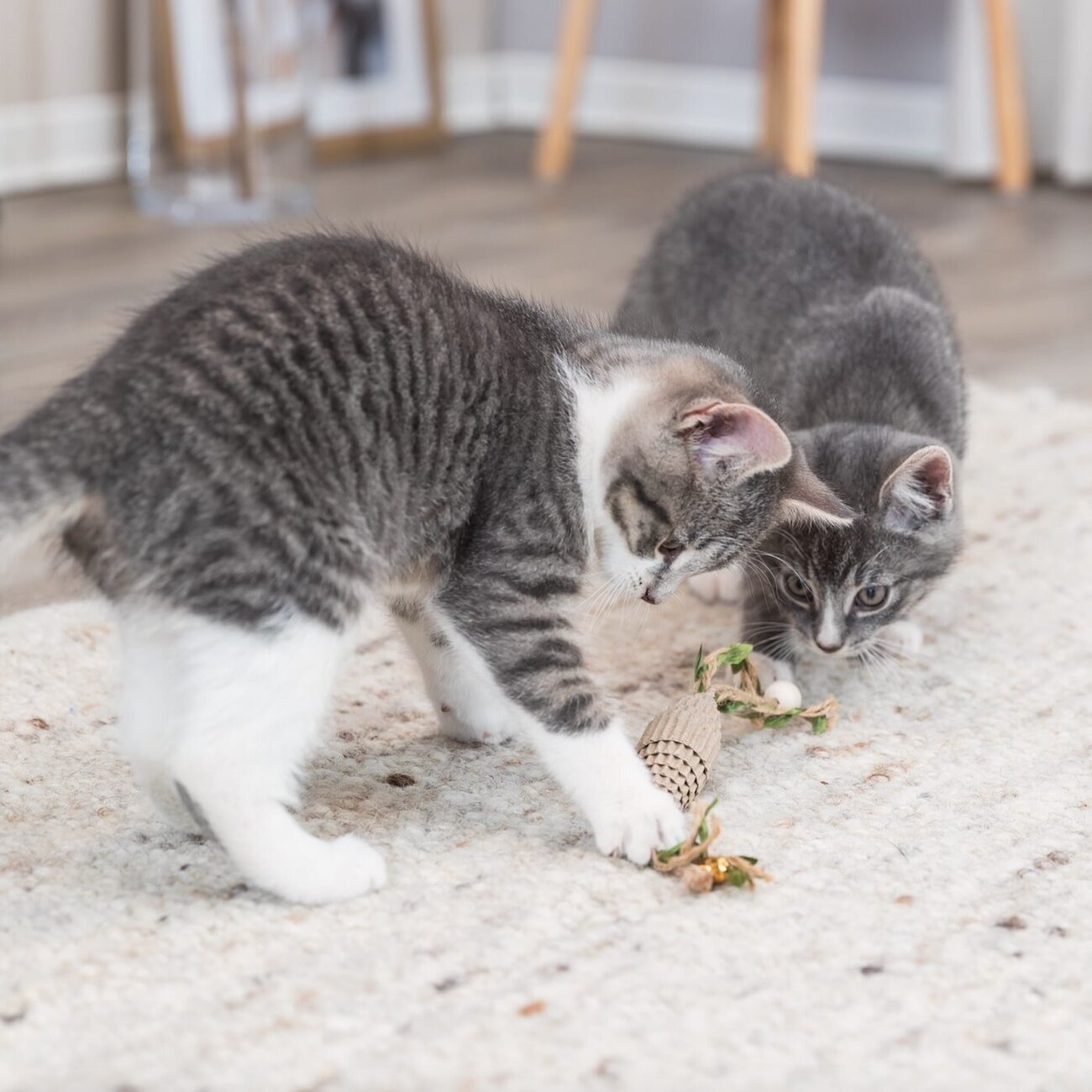 Rugby aus Pappe für Katzen von TRIXIE günstig bestellen | tiierisch.de