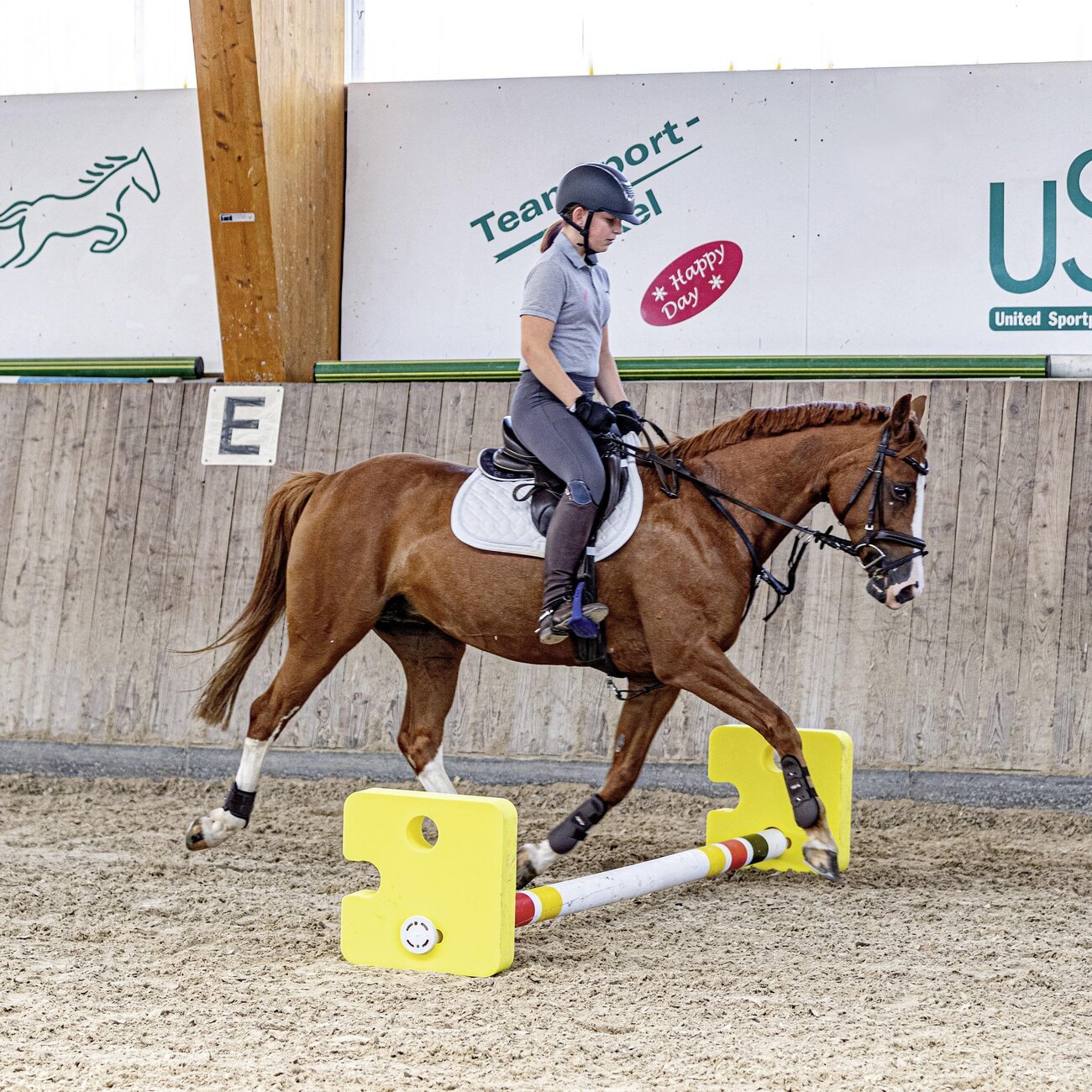 Agility Cavaletti Block von USG günstig bestellen | tiierisch.de