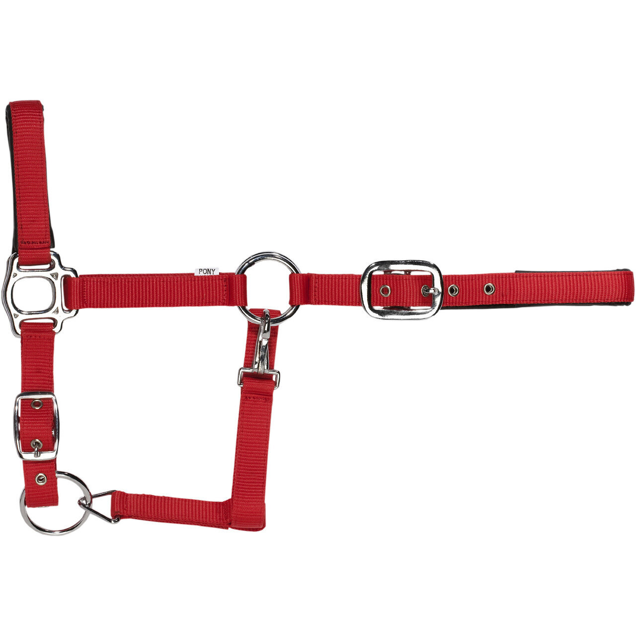 Shetty Halfter Everyday von USG günstig bestellen | tiierisch.de