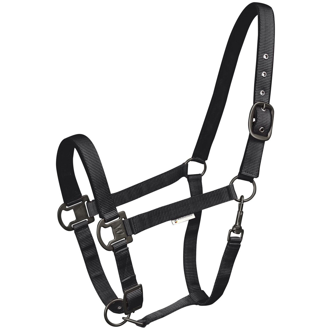 Halfter Gloomy von Waldhausen günstig bestellen | tiierisch.de