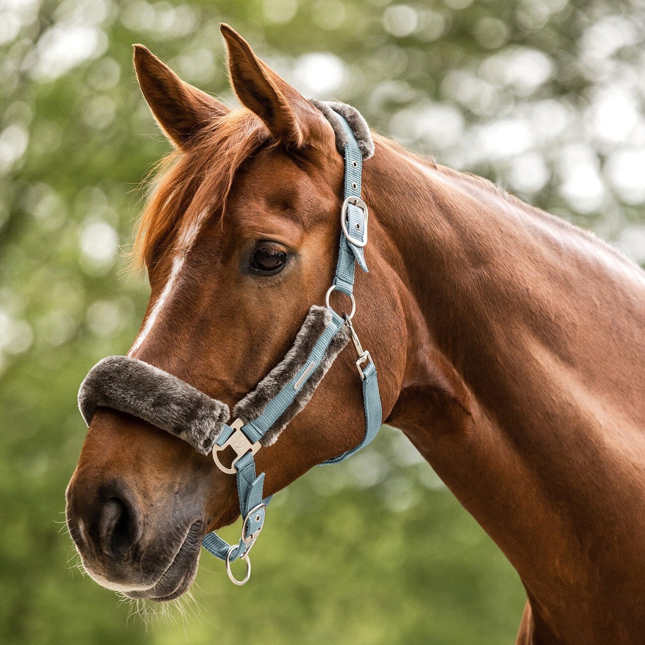 Halfter Soft mit Kunstfell von Waldhausen günstig bestellen | tiierisch.de